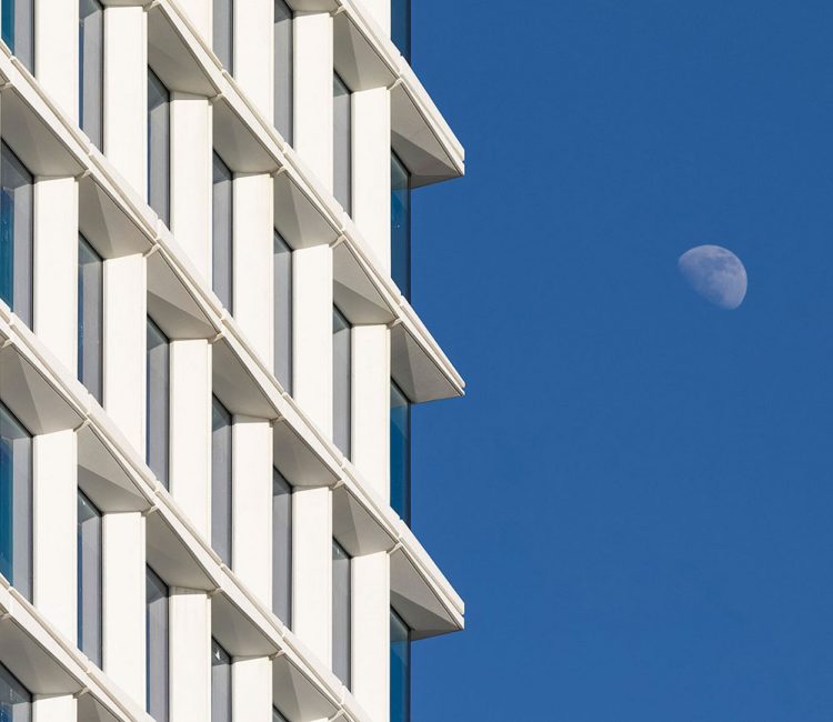 One South First - COOKFOX